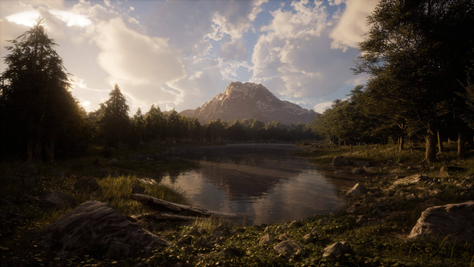 Forest | Unreal Engine 5 Environments Made Easy | Learn Squared